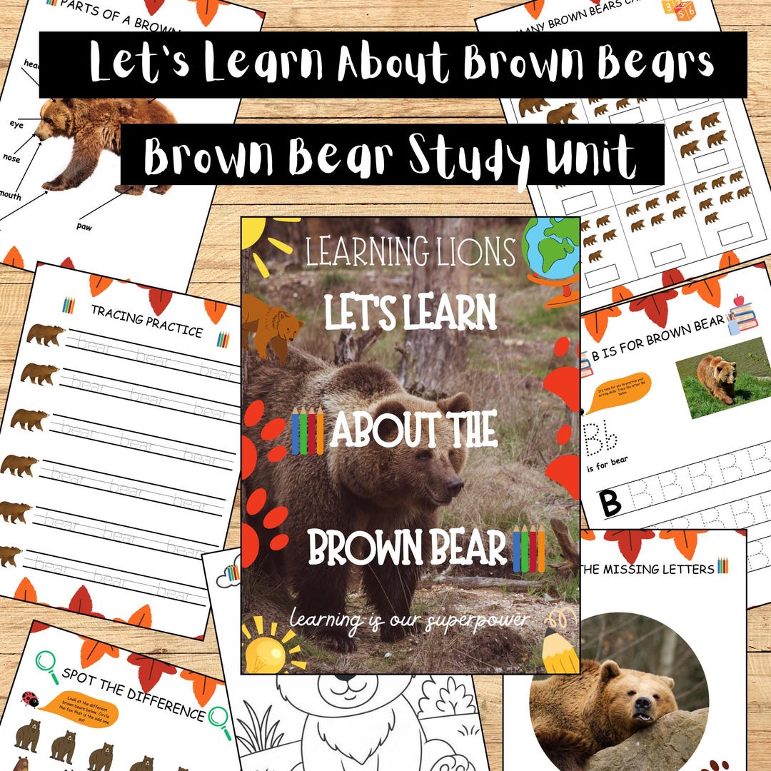 Brown Bear Unit Study for Kids: Homeschool Printable Workbook (PDF) - Etsy
