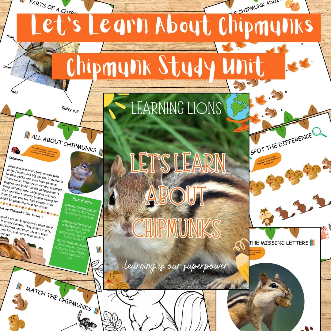 Chipmunk Unit Study for Kids: Homeschool Printable Workbook - Etsy