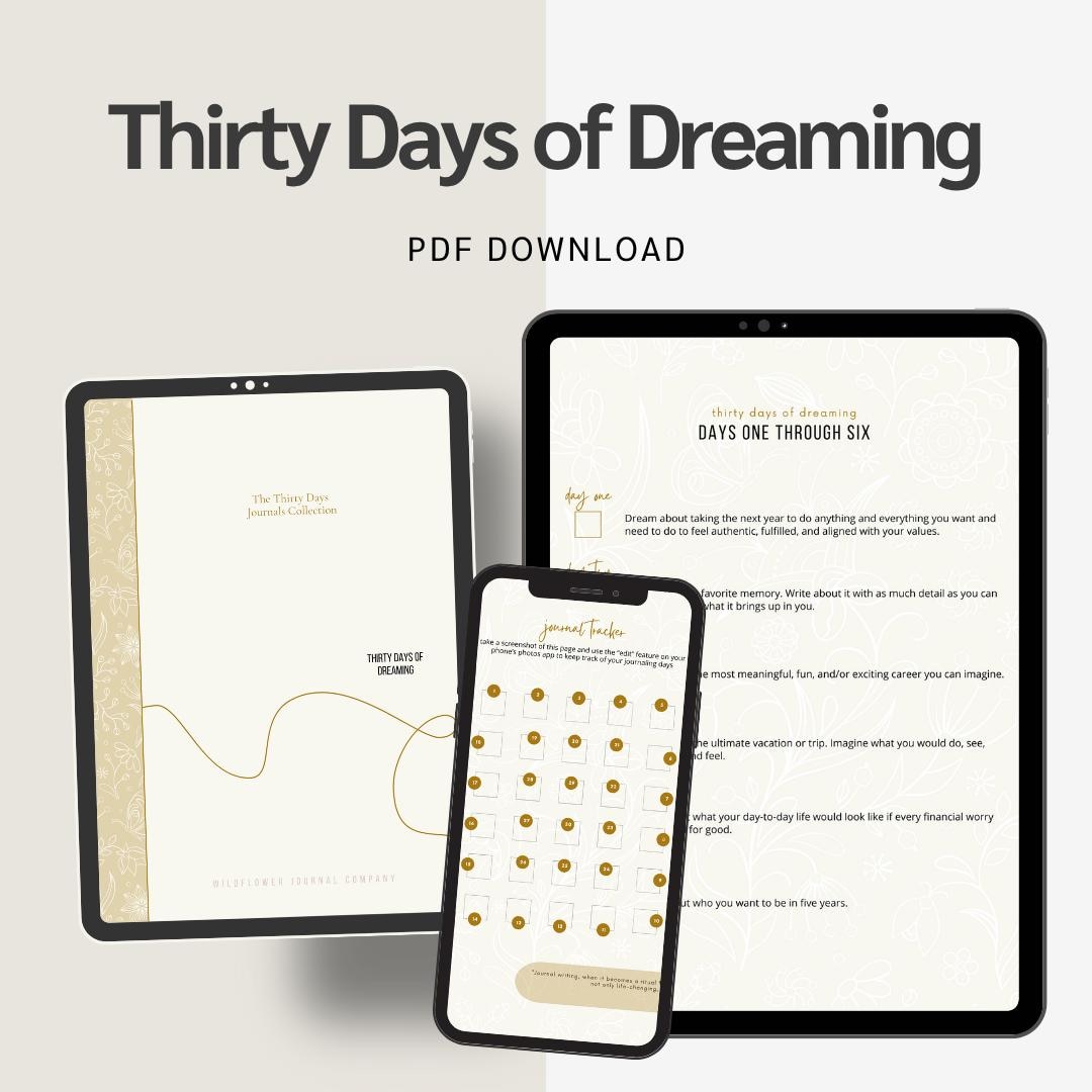 Thirty Days of Dreaming: A Guided Journal for Creativity, Imagination ...