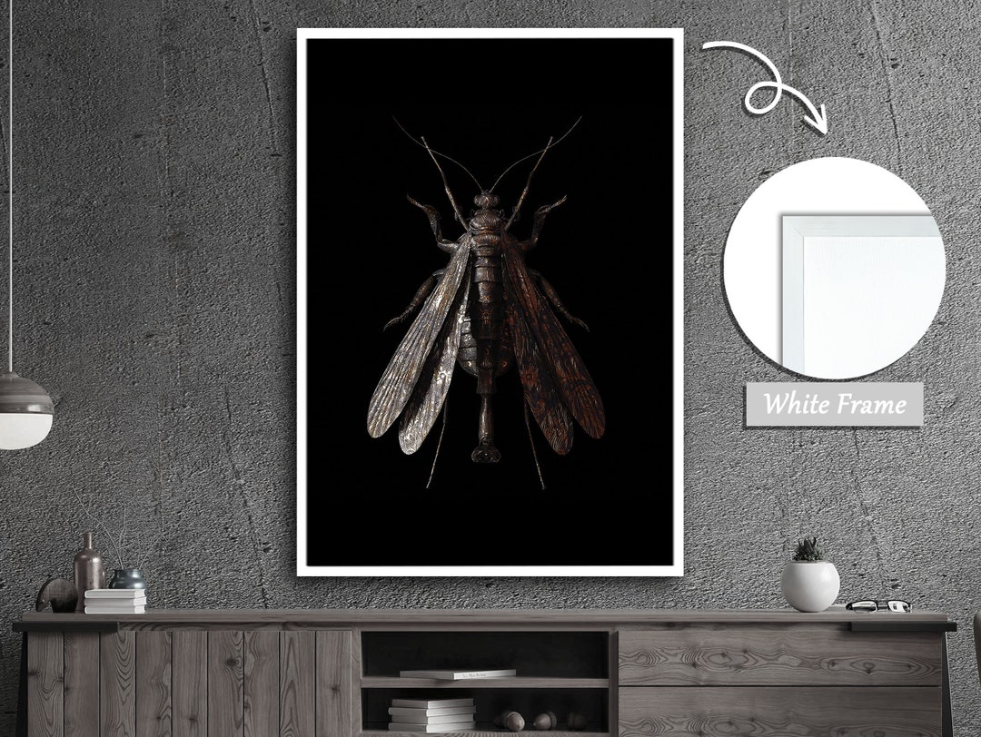 Tiny Wonders of Nature,multi-winged Insect Art, Exquisite Bug Portrait ...