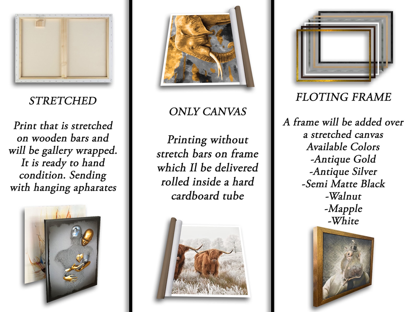 Feather Quills and Their Meanings,quill Art,feather Pen Illustrations ...