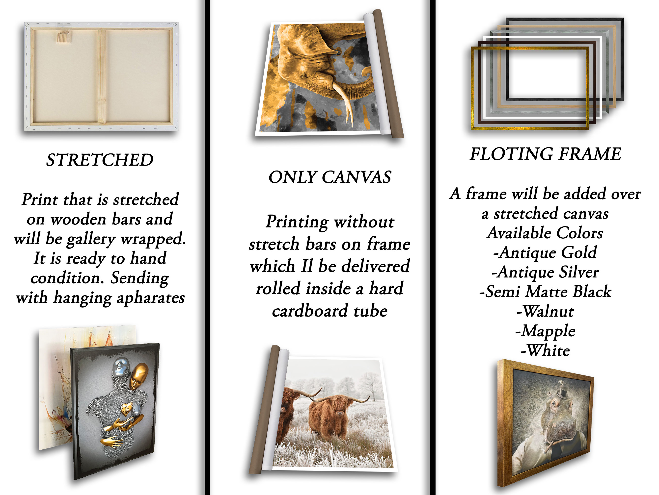 Feather Quills and Their Meanings,quill Art,feather Pen Illustrations ...