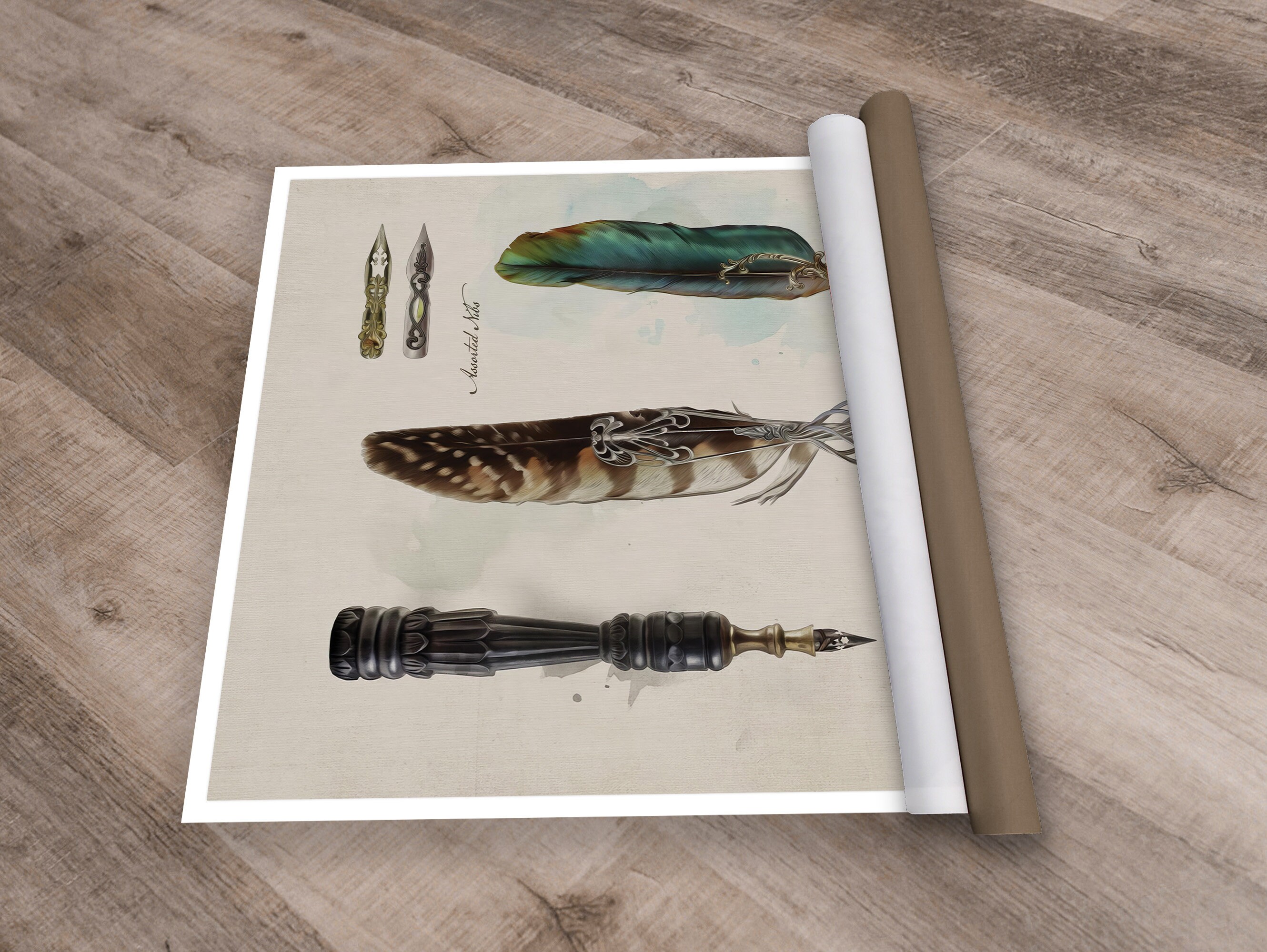 Feather Quills and Their Meanings,quill Art,feather Pen Illustrations ...