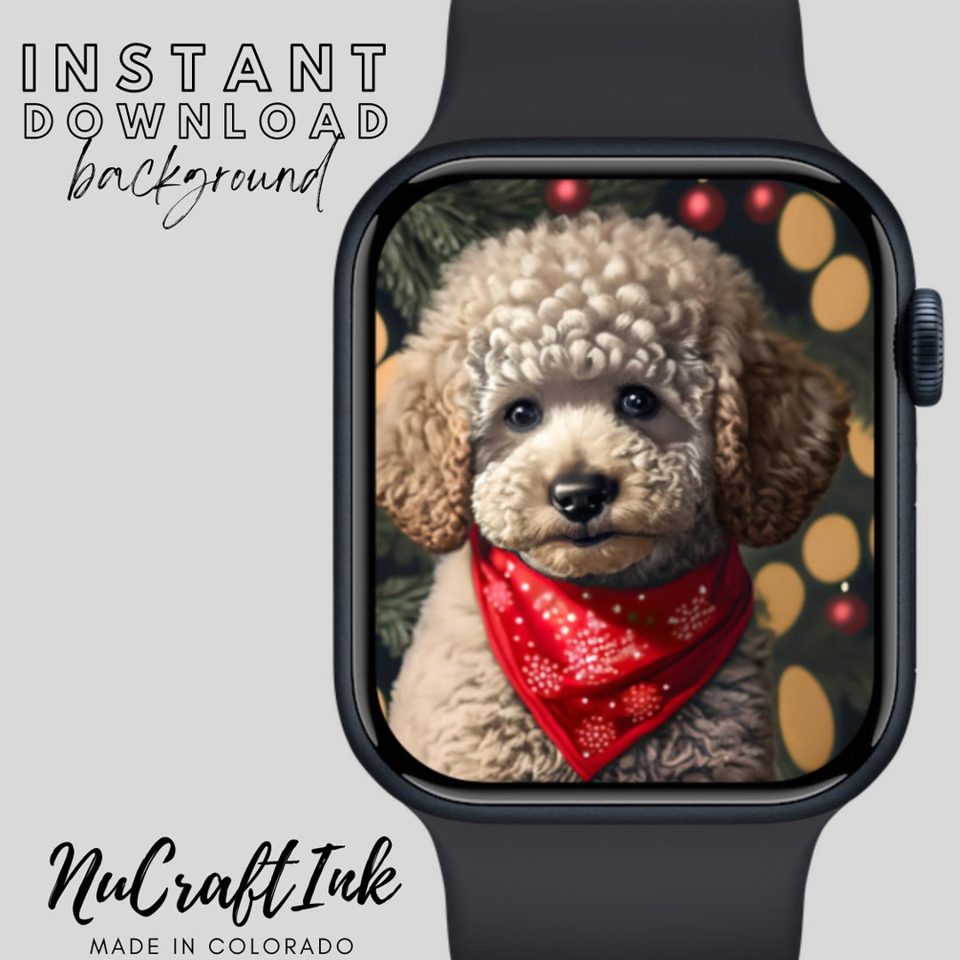 Christmas Poodle Puppy Apple Watch Wallpaper (digital Download) - Etsy