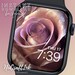 Lavender Rose Apple Watch Face: Elegant Floral Wallpaper (digital ...