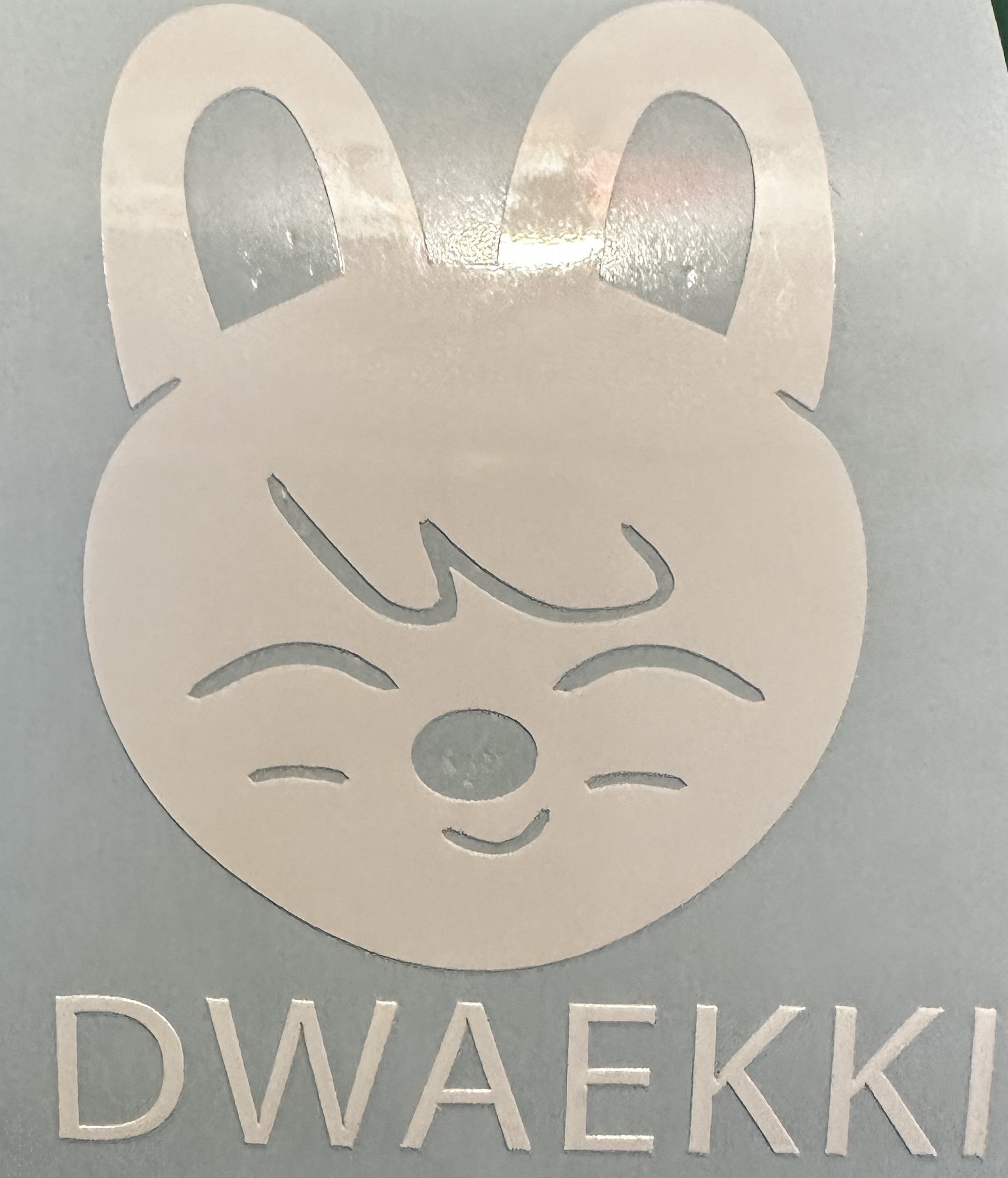 Skzoo Vinyl Decal - Etsy