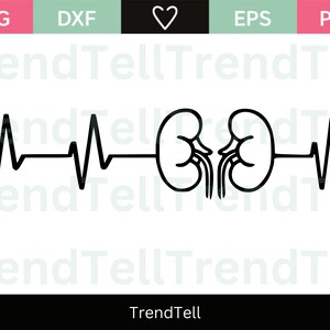Kidney Heartbeat Svg, Cut File Png Laser File Dialysis Hemodialysis ...