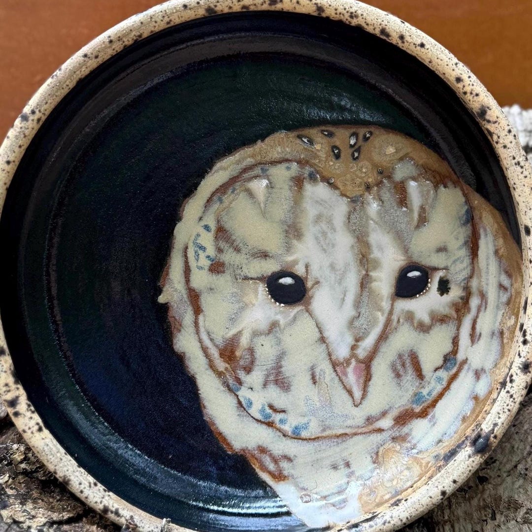 Hand-painted Barn Owl Serving Platter With Handles, Collectible ...