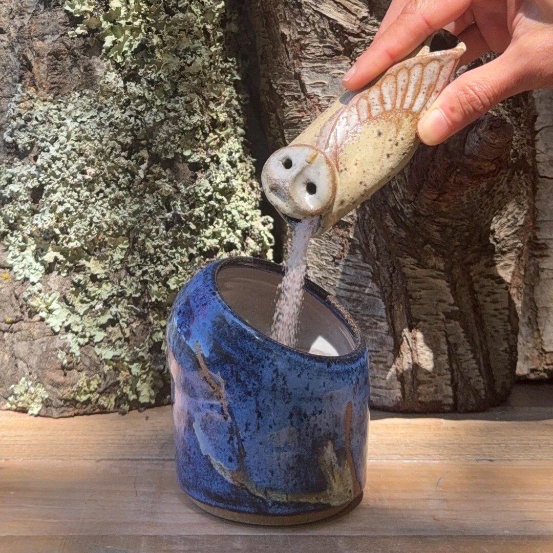Barn Owl Salt Cellar | Hand Thrown, Hand Painted Blue | One-of-a-kind ...