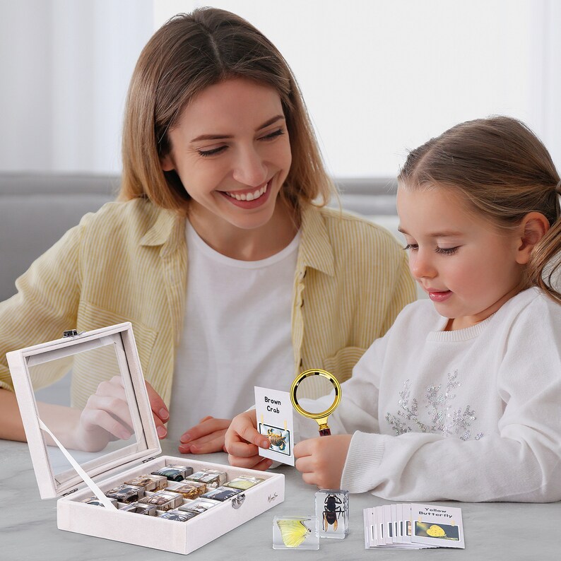 Insect Discovery Collection: Set of 12 Real Insects in Resin Bugs in ...