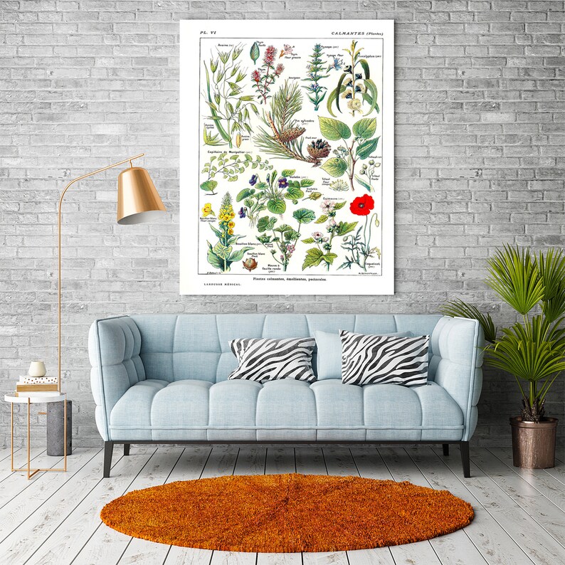 Vintage Botanical Print Calming Plants Science 1912, Botanical Poster ...