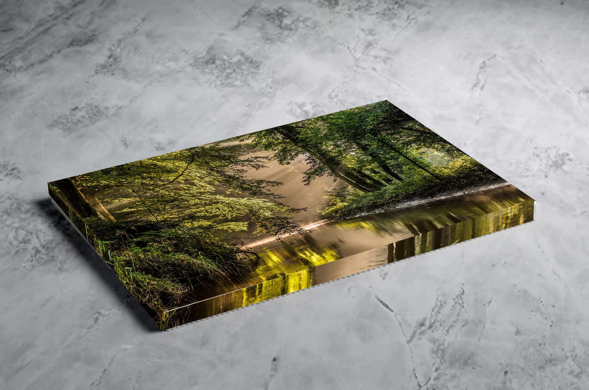 Forest Wall Art, Canvas Forest Tree Art, Prints Forest River Painting ...