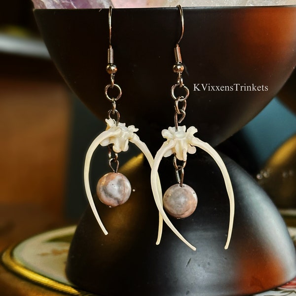 Vertebrae - Etsy