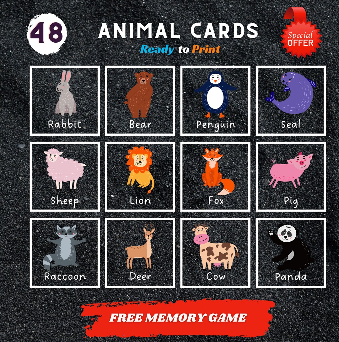 Animal Flashcards: 48 Educational Cards | Perfect for Learning ...