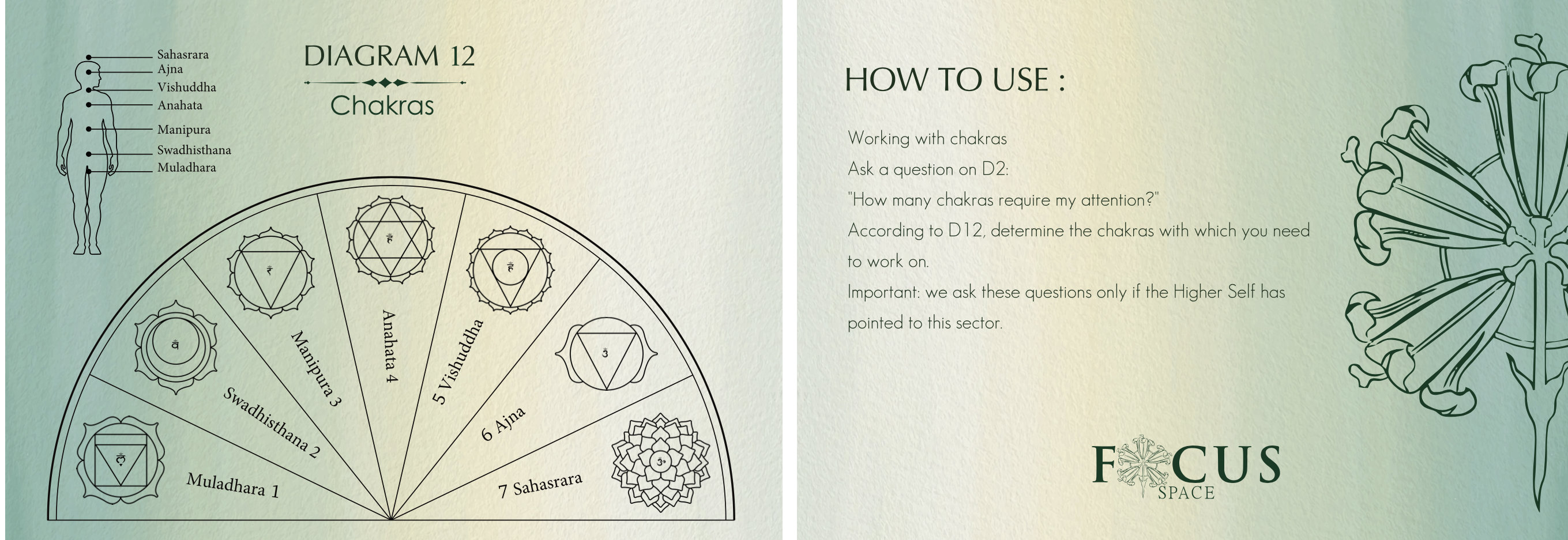 Healing Box With Diagram Cards for Pendulum Self-diagnosis and - Etsy