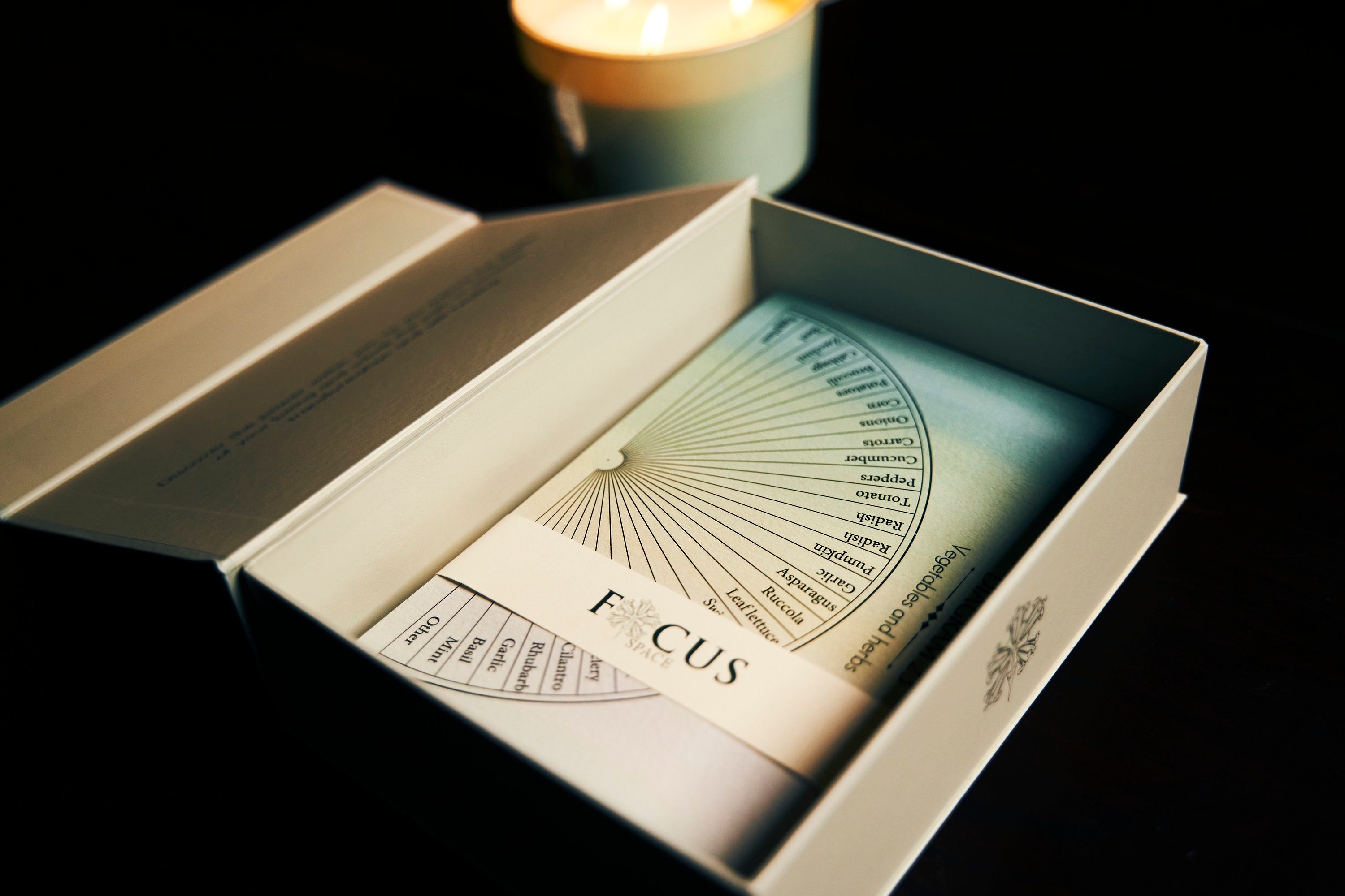 Healing Box With Diagram Cards for Pendulum Self-diagnosis and - Etsy