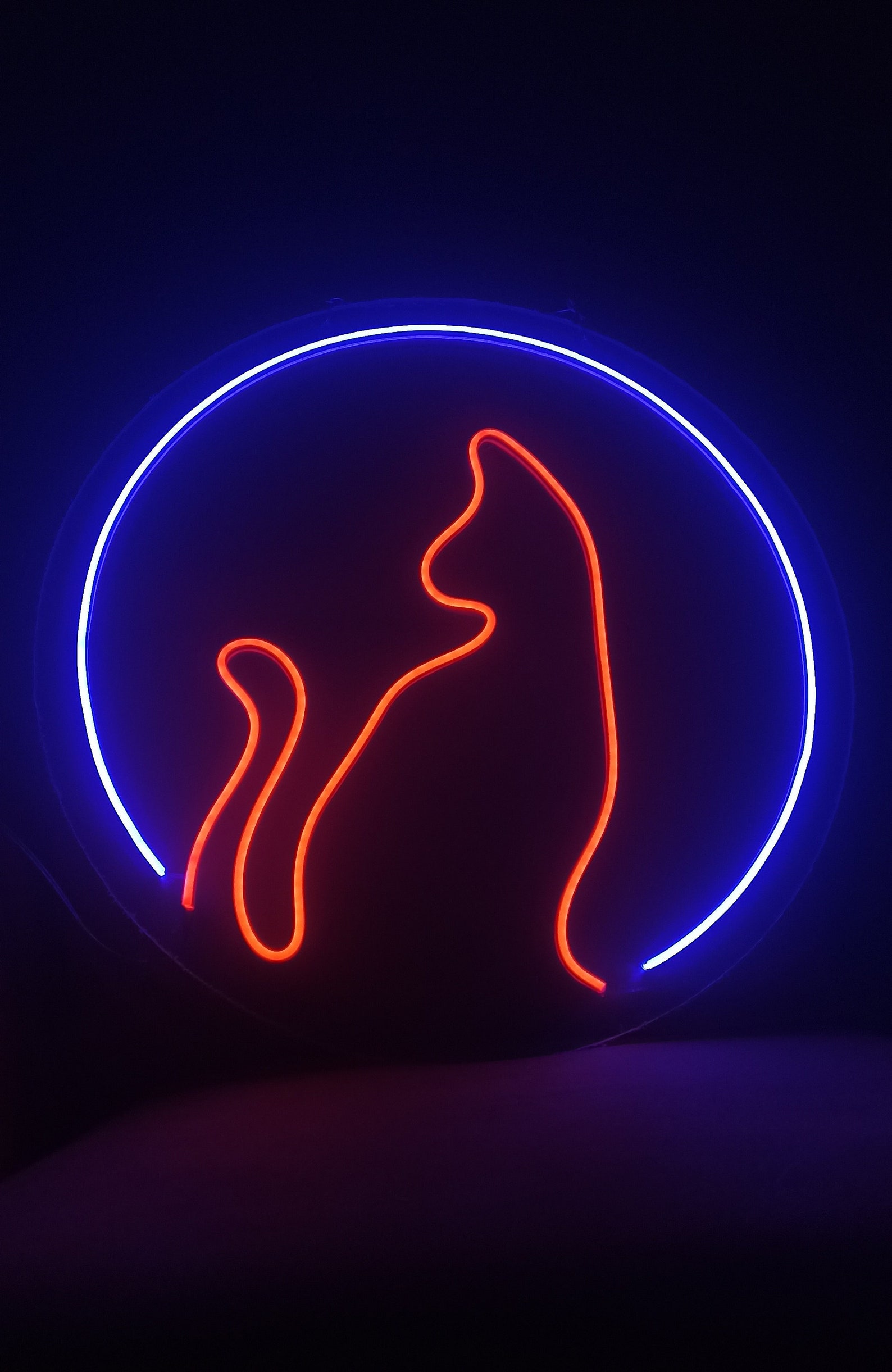 Cat Neon, Cat Moon Neon, Moon Neon, Cat Neon Light, Cat Neon Led, Cat ...