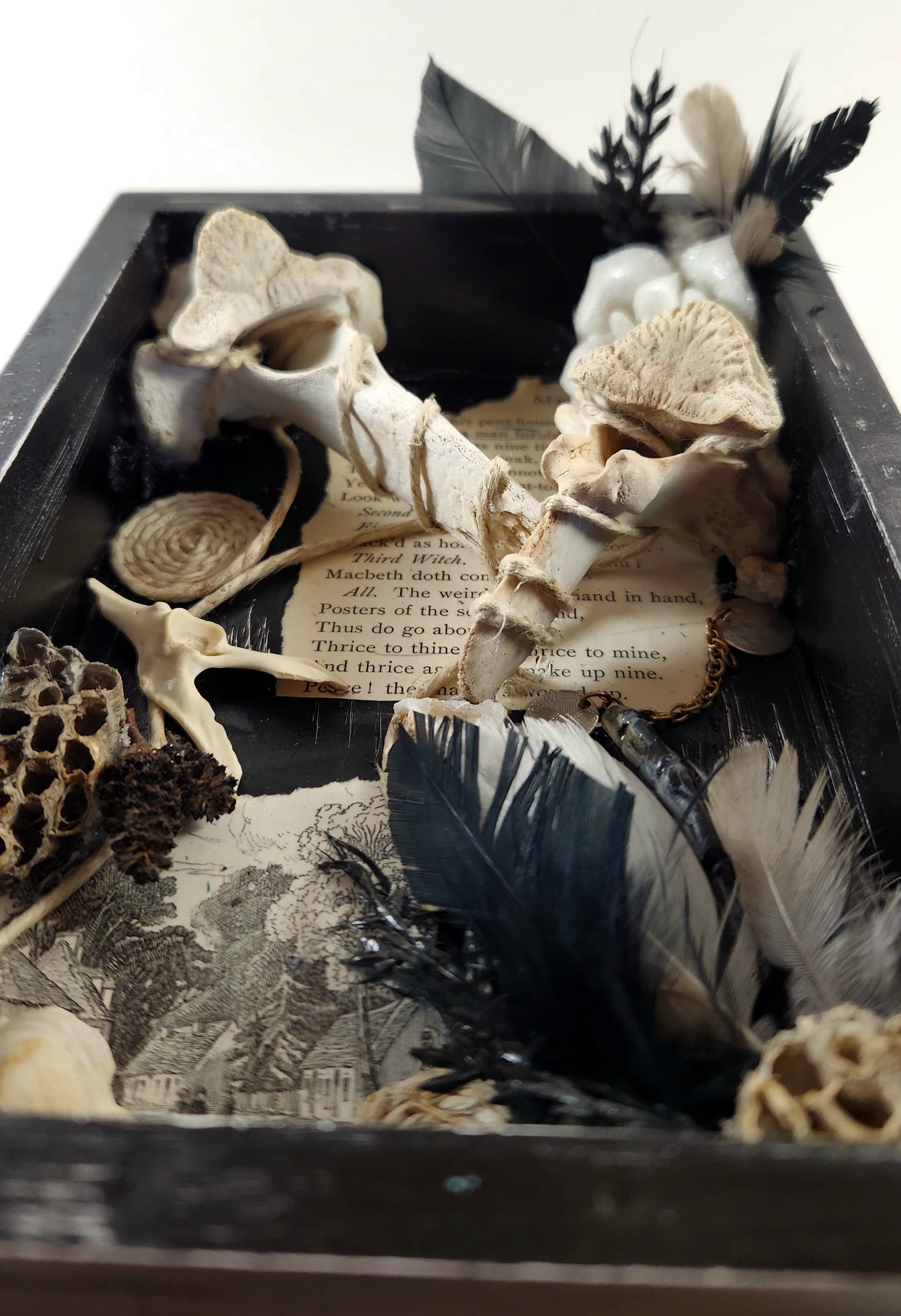 Whimsical Bone Collage Wall Hanging, Natural Witch Decor, Real Bone - Etsy