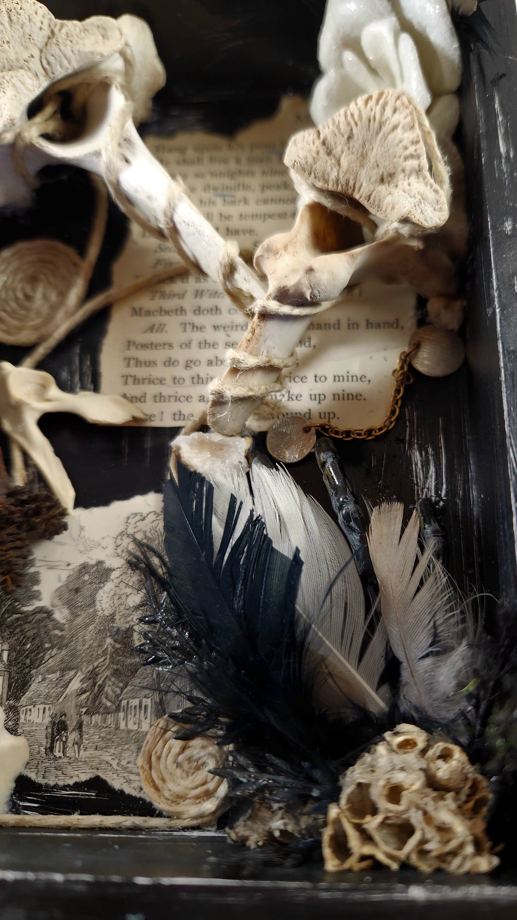 Whimsical Bone Collage Wall Hanging, Natural Witch Decor, Real Bone - Etsy