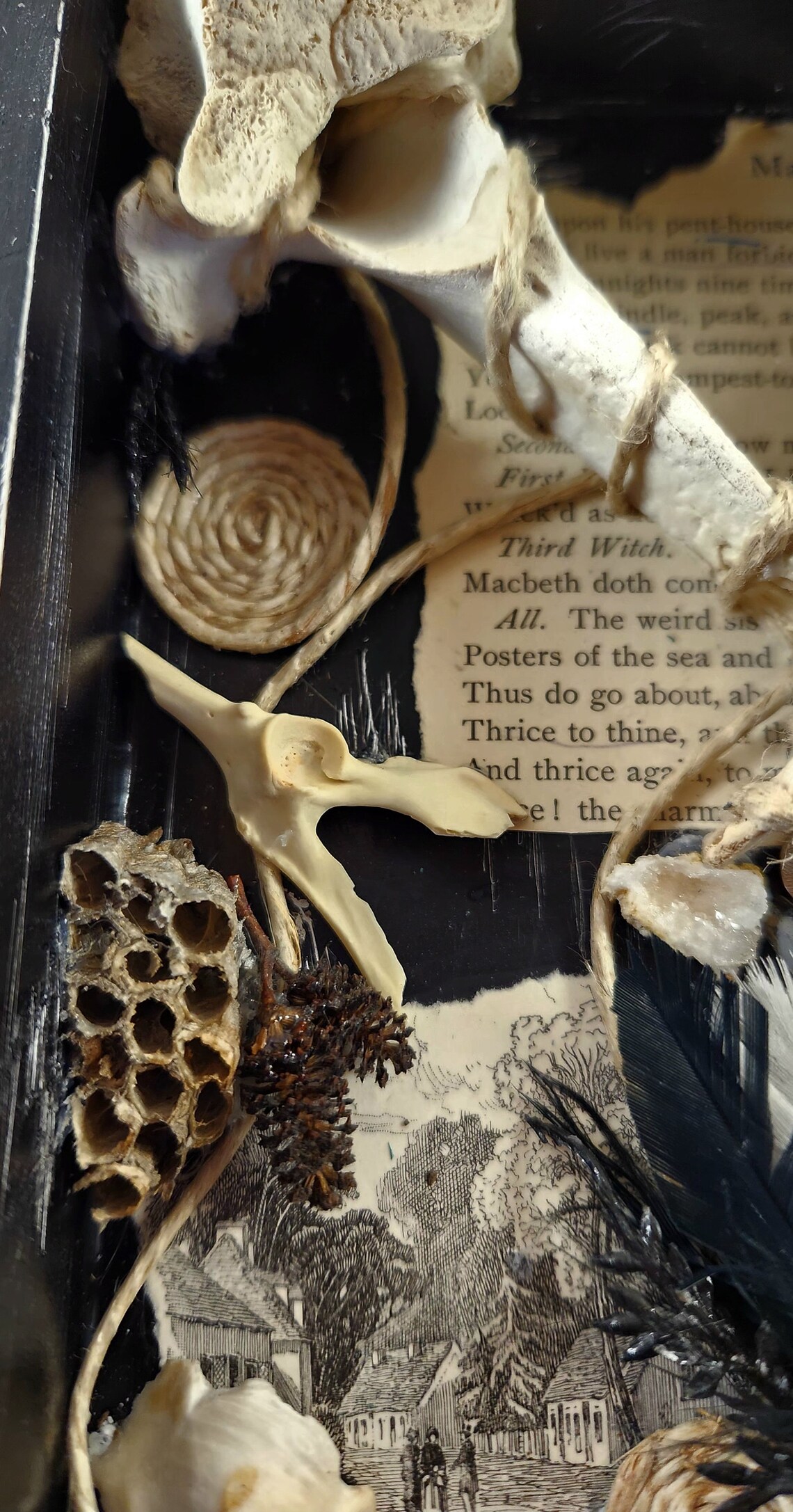 Whimsical Bone Collage Wall Hanging, Natural Witch Decor, Real Bone - Etsy