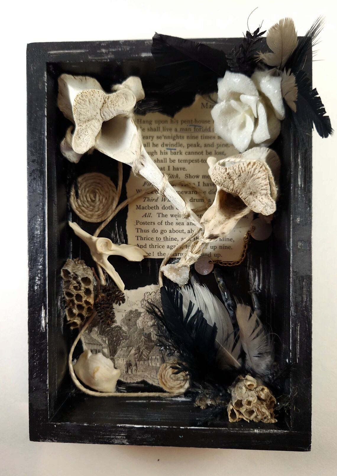Whimsical Bone Collage Wall Hanging, Natural Witch Decor, Real Bone - Etsy