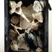 Whimsical Bone Collage Wall Hanging, Natural Witch Decor, Real Bone - Etsy