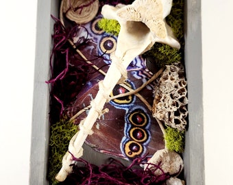 Whimsical Bone Collage Wall Hanging, Natural Witch Decor, Real Bone - Etsy