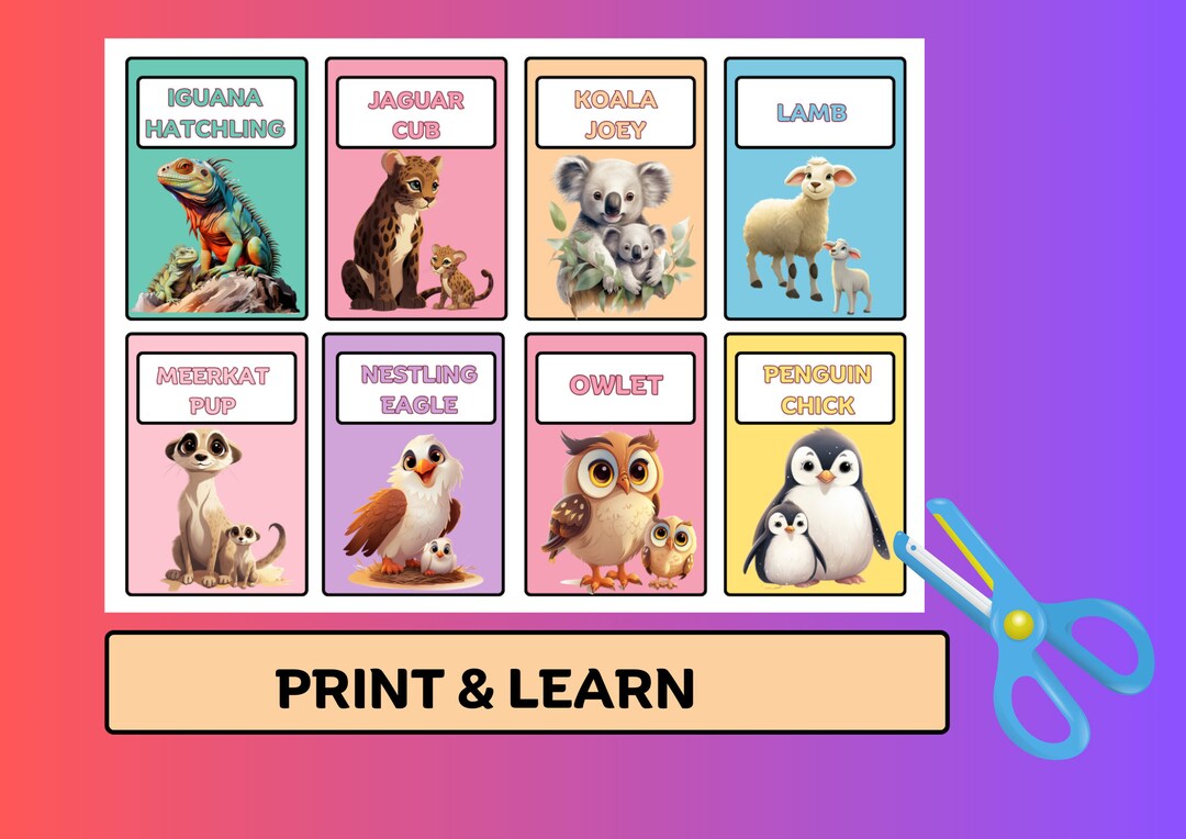 26 Baby Animals Flashcards in Alphabetical Order / Baby Animals ...