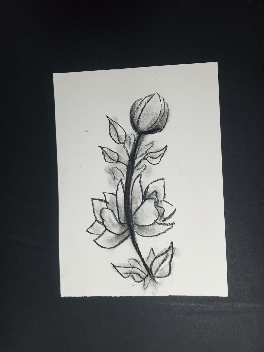 Weird Lotus Flower Charcoal Drawing, Dark Line Art, Original Floral ...