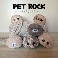 Pet Rock - Etsy