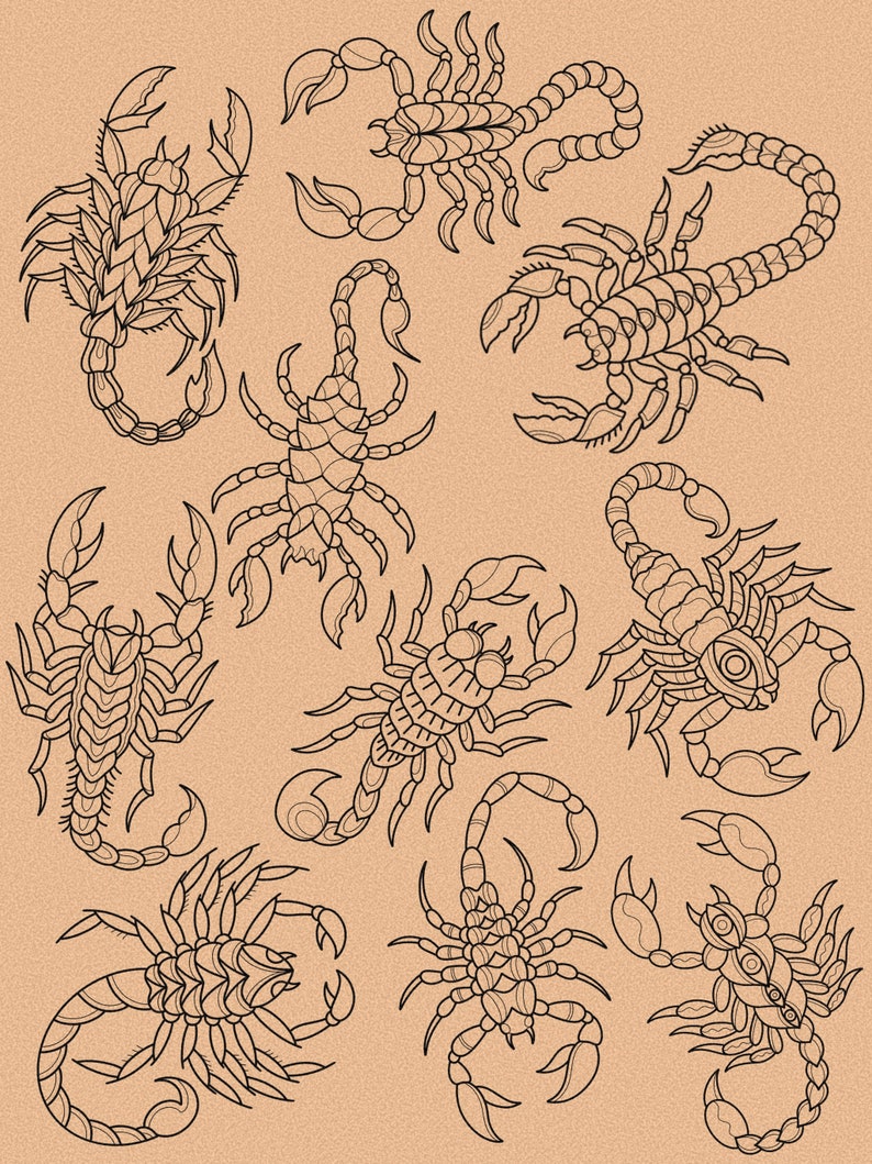 Traditional Scorpion Tattoo Procreate Stamp - Set 1 | 20 Trad Scorpion ...