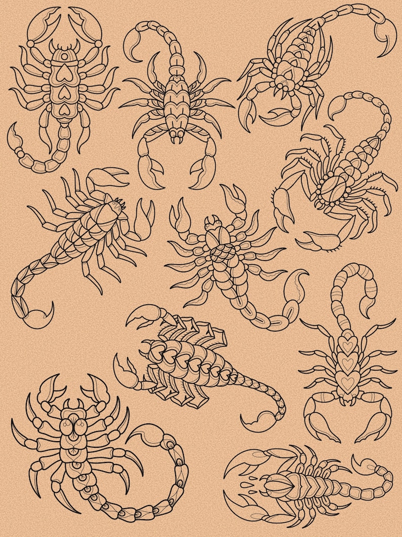 Traditional Scorpion Tattoo Procreate Stamp - Set 1 | 20 Trad Scorpion ...