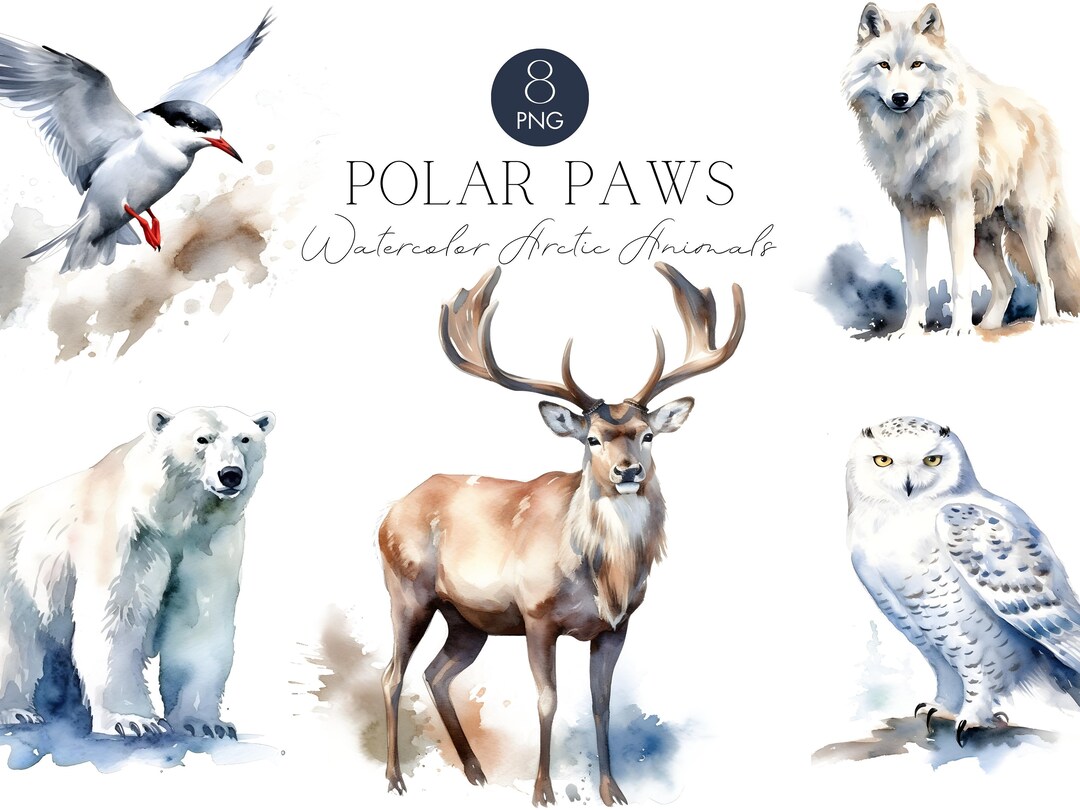 Arctic Animals PNG Files Adorable Arctic Fox Polar Bear - Etsy