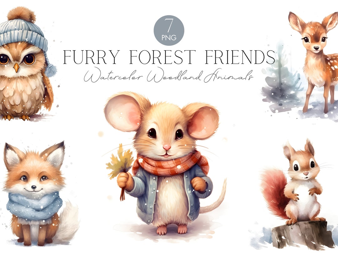 Woodland Animals Watercolor Clipart, Forest Creatures, Perfect for Baby ...