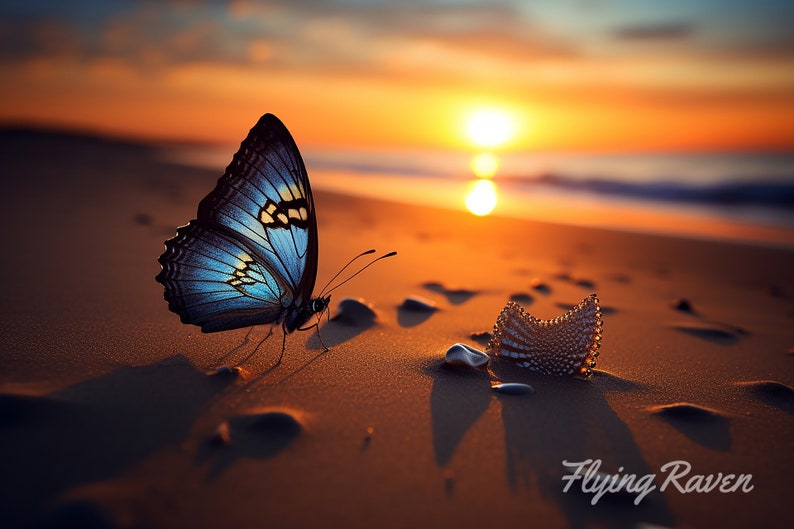 Butterfly, HD, Large Print Jpg A4 A3 Home Stock Photos Royalty Free ...