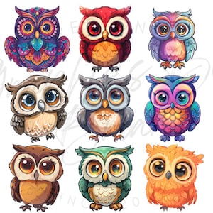 Colorful Cute Owl Clipart Bundle, Vibrant Colors, Owl Clipart PNG, Owl ...
