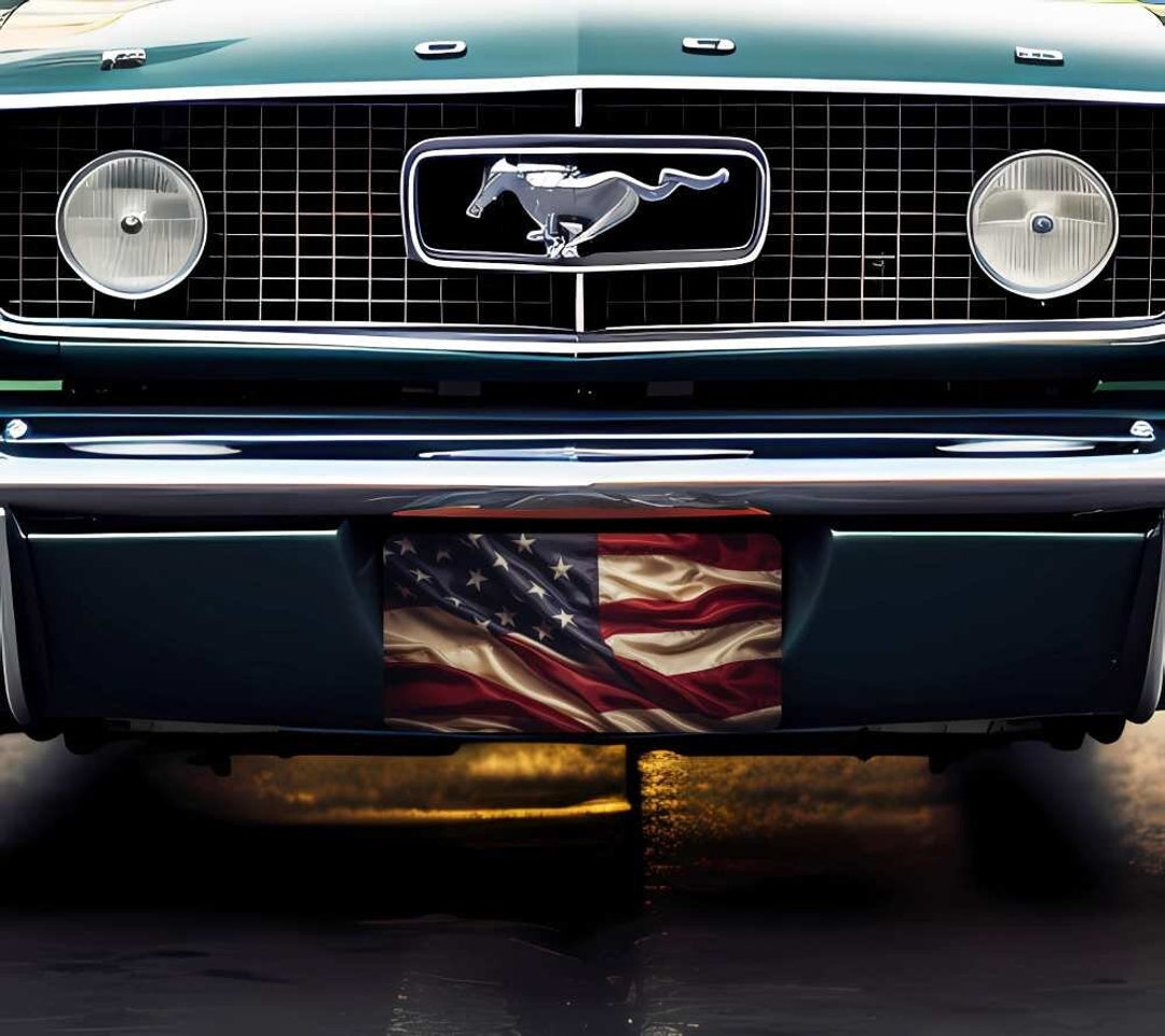 American Flag PNG, USA License Plate, License Plate Png, Front License ...