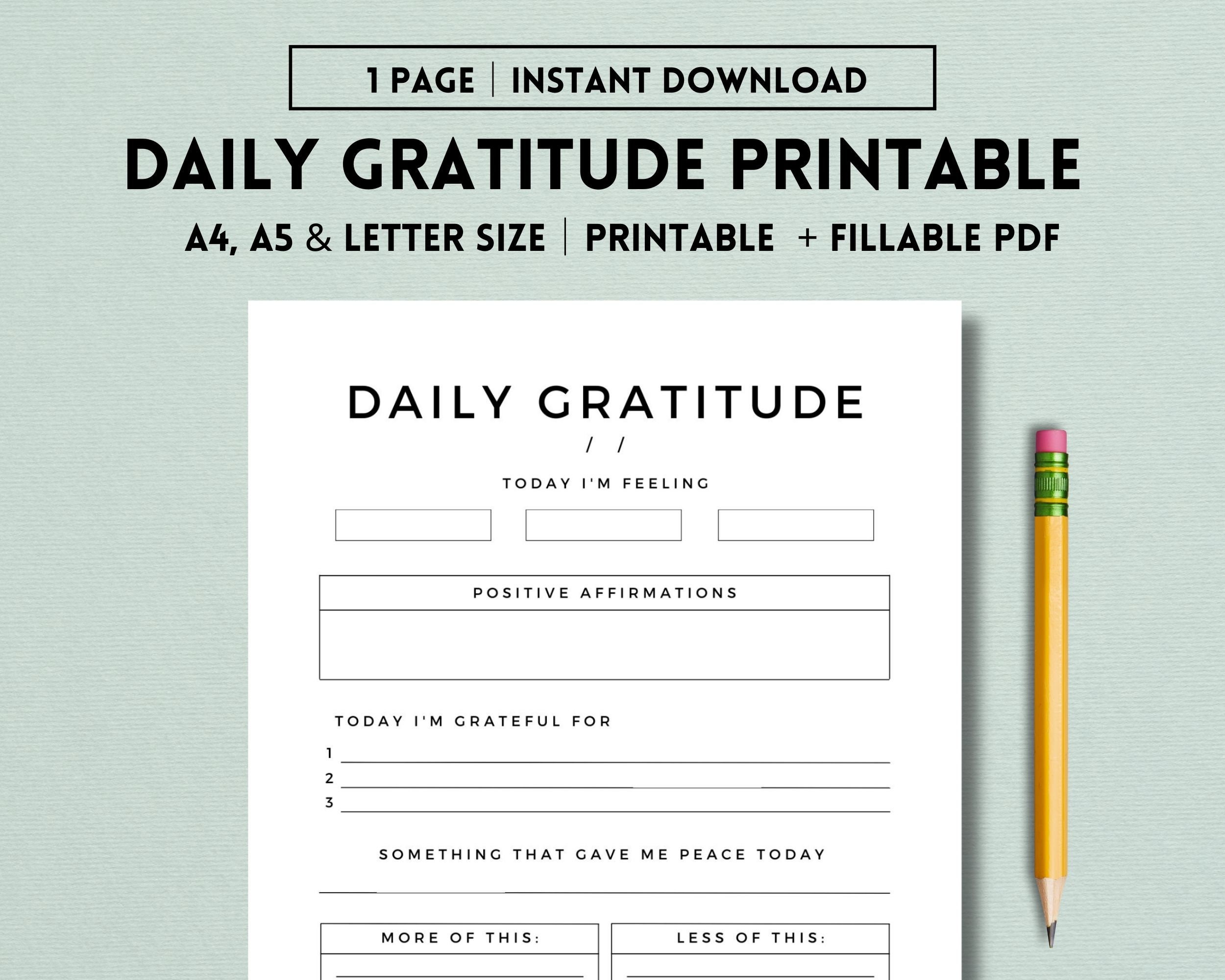 Daily Gratitude Printable, Gratitude Journal Prompts, Gratitude Diary ...