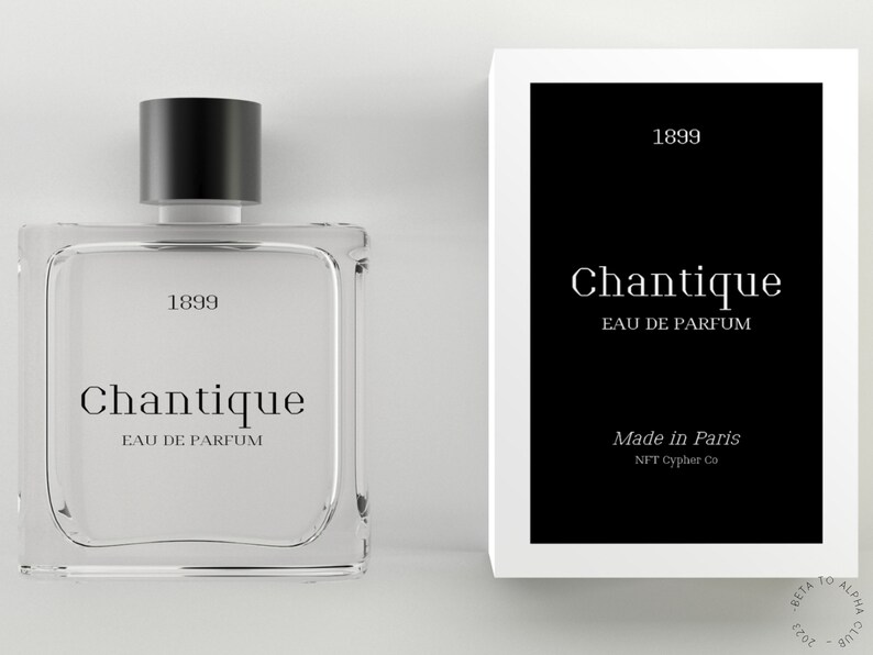 Acquiro Serif Font Family Modern Font Logo Font Branding Font Boho Font ...