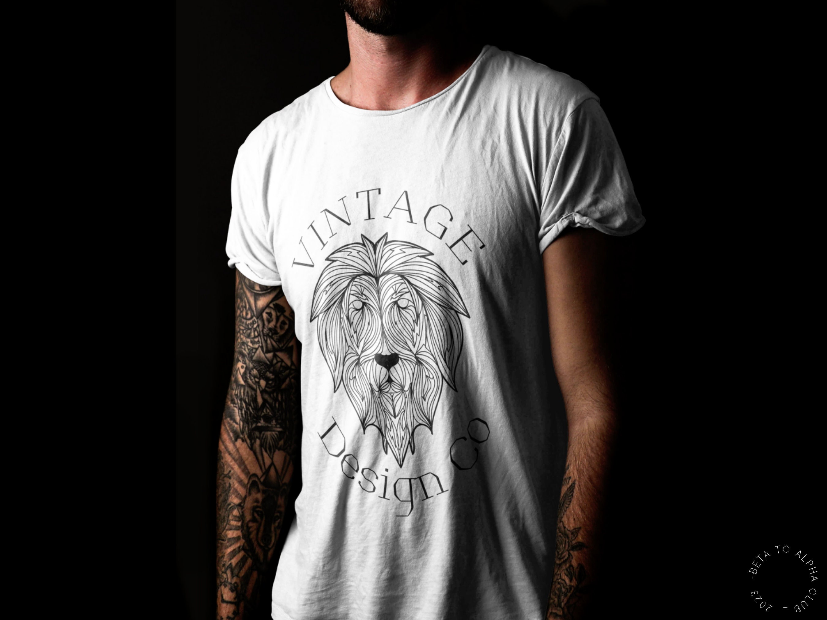 Acquiro Serif Font Family Modern Font Logo Font Branding Font Boho Font ...