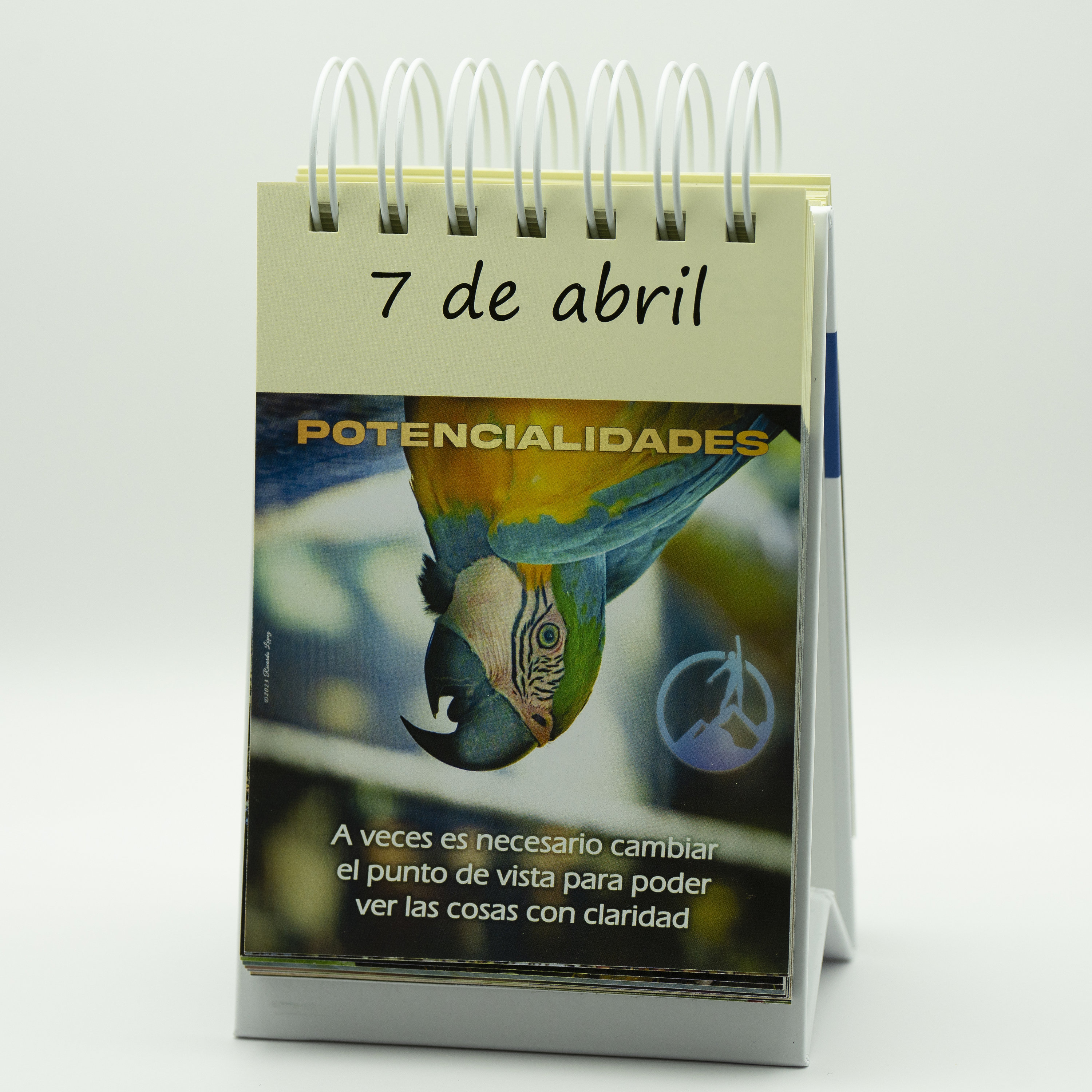 SPANISH Perpetual Desk Flip Calendar - Daily Positive Inspirational ...