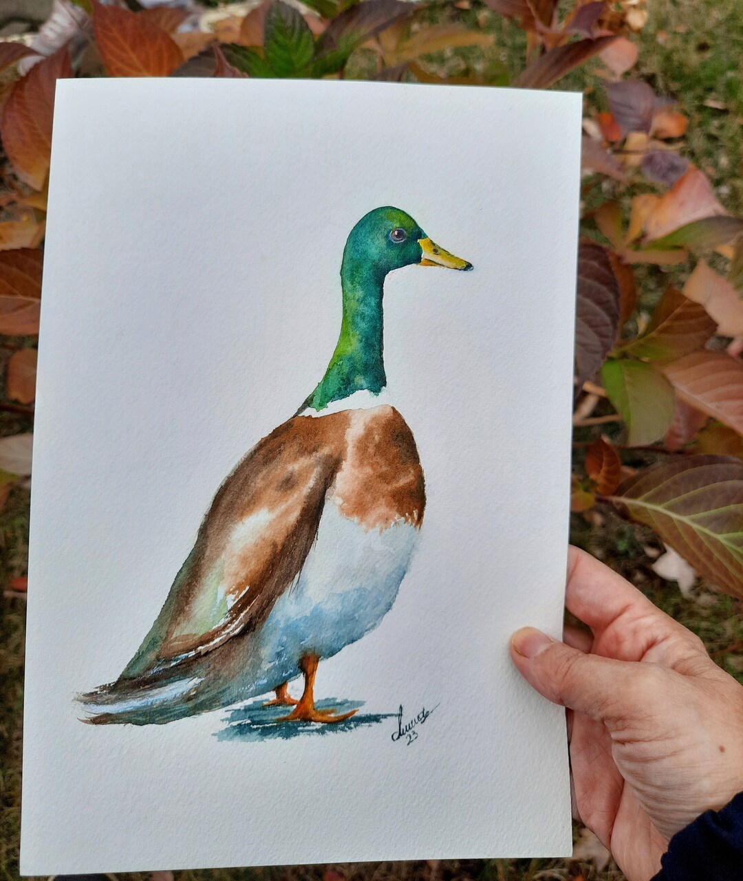 Watercolor Mallard Duck Painting, Handmade Duck Illustration Wall Art ...