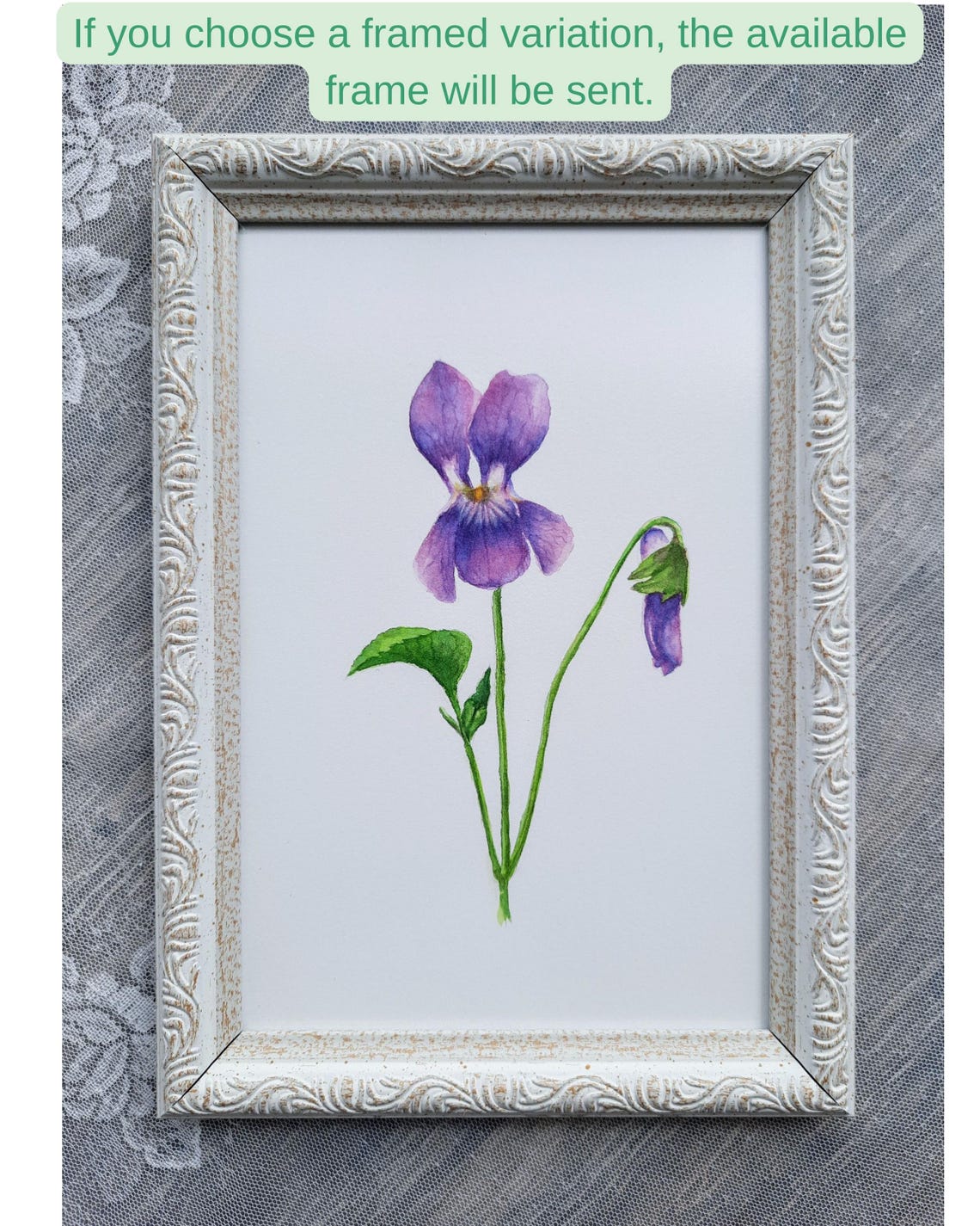 Hand-painted Watercolor August Birth Flower (unprinted and Physical ...