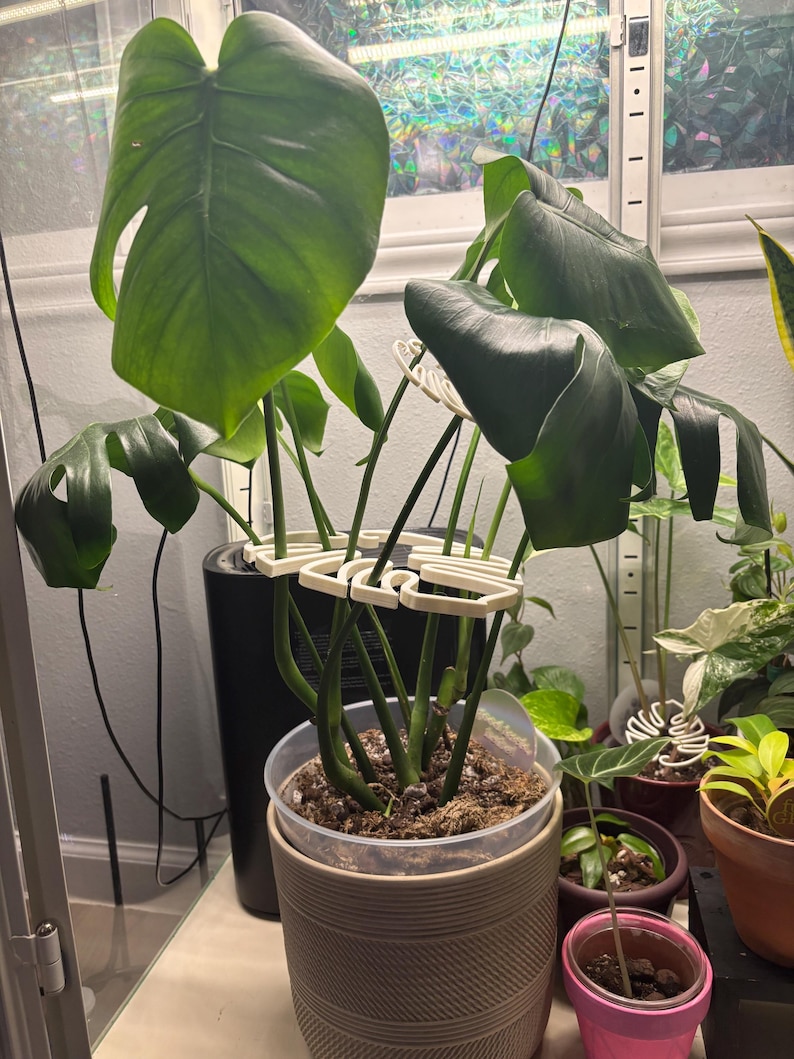 3D Printed Monstera Styled Plant Support Stake ~ Indoor Plant Trellis ...
