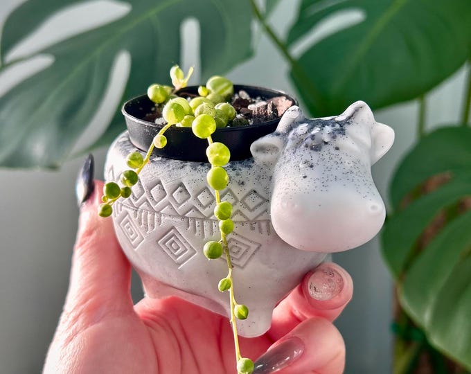 COW PLANTER POT • Cute Plant Pots Decorative Planter Pots, Kitchen ...