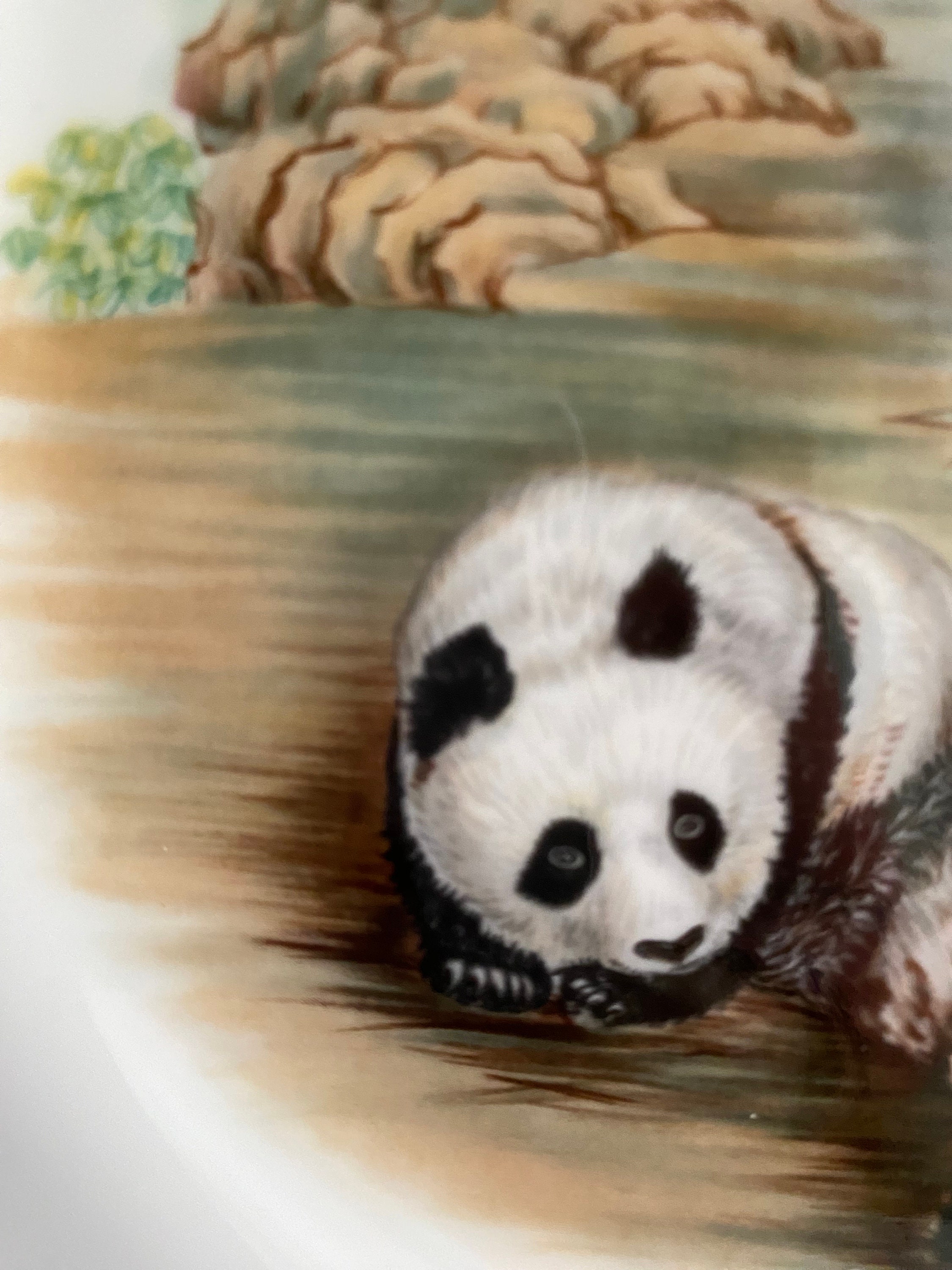 Edward Marshall Boehm - Giant Panda Plate Collection "peace" - Limited Edition - Collectible ...