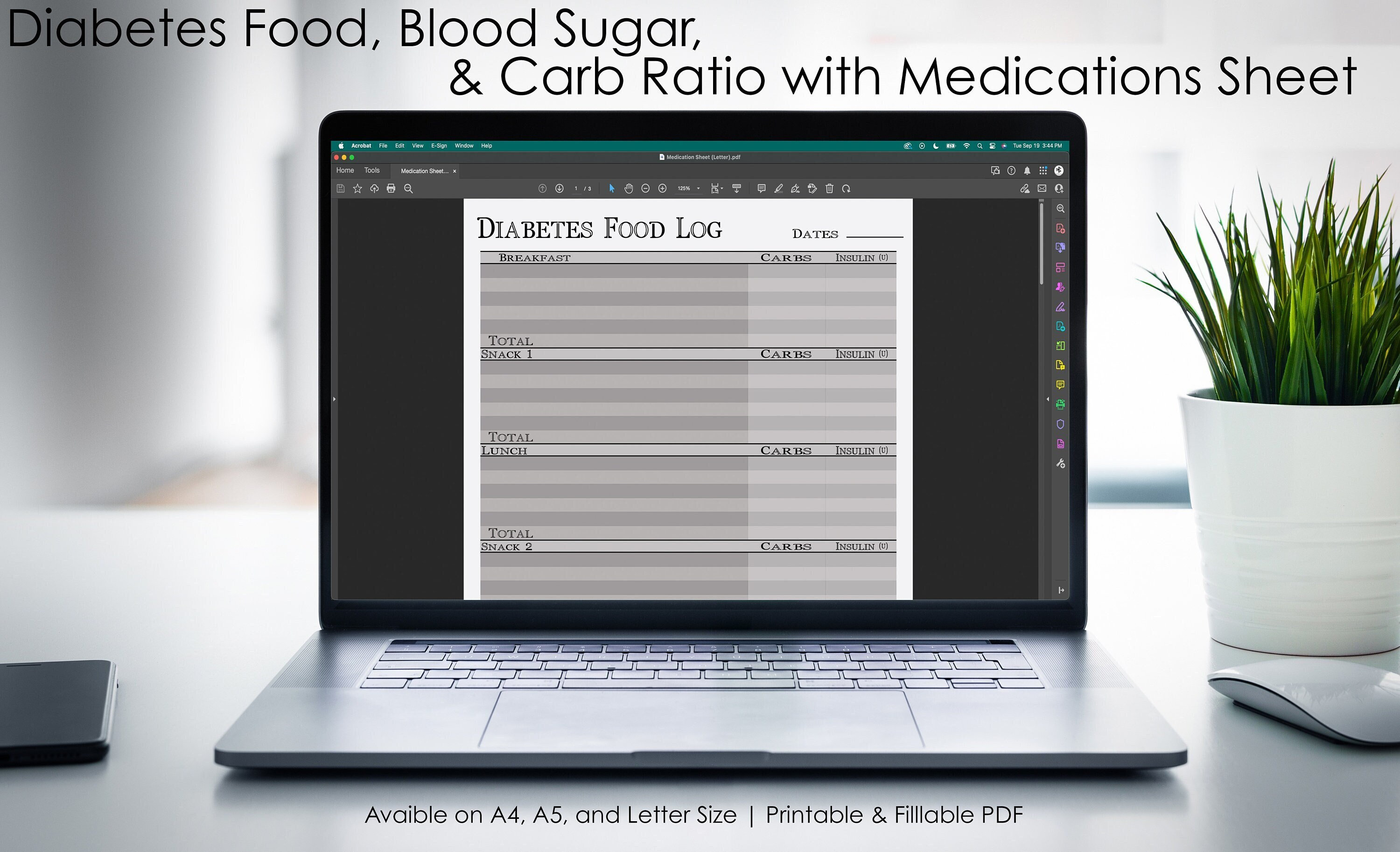 Printable Diabetes Food Log, Blood Sugar Tracker, Carbs Ratio ...