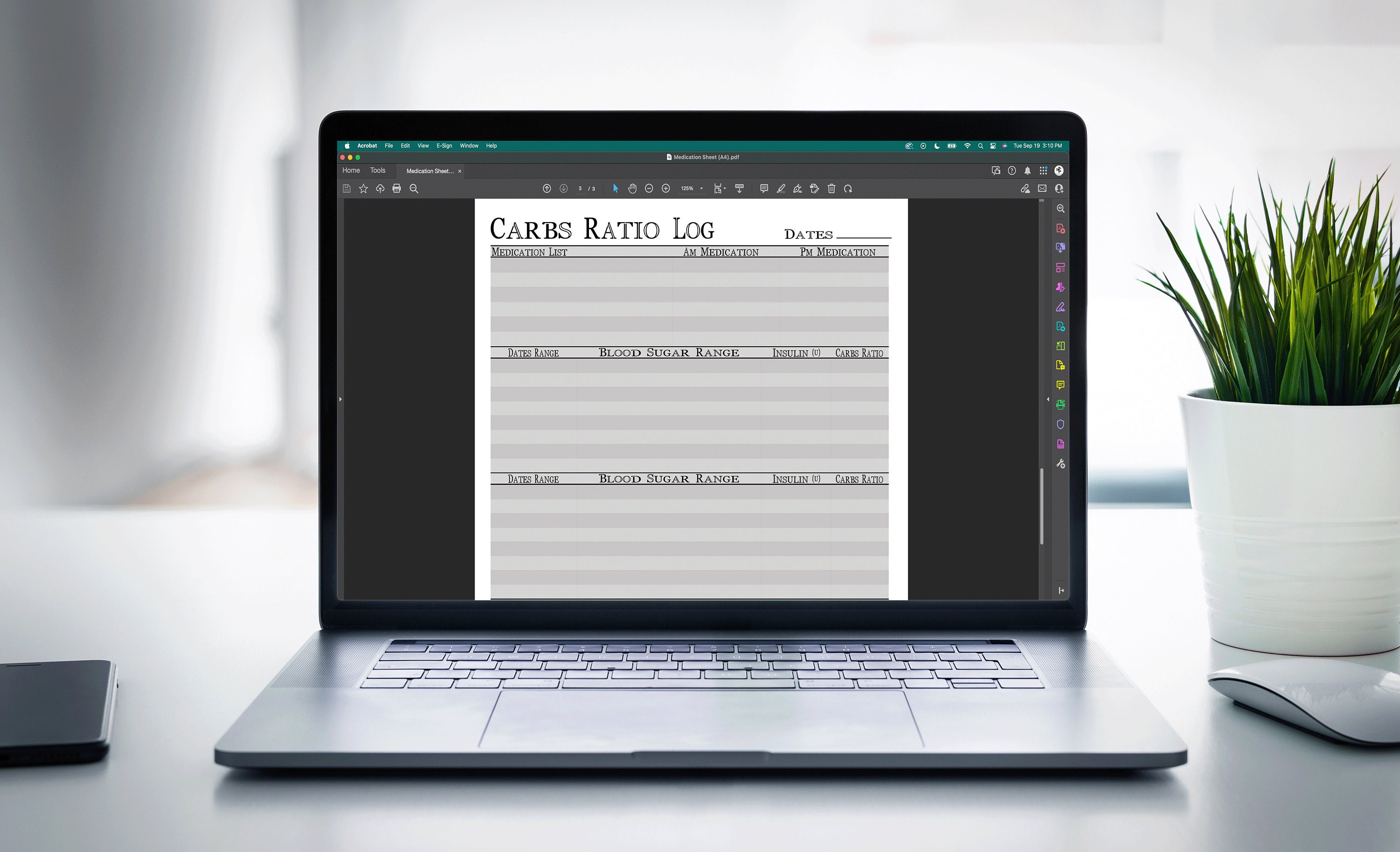 Printable Diabetes Food Log, Blood Sugar Tracker, Carbs Ratio ...