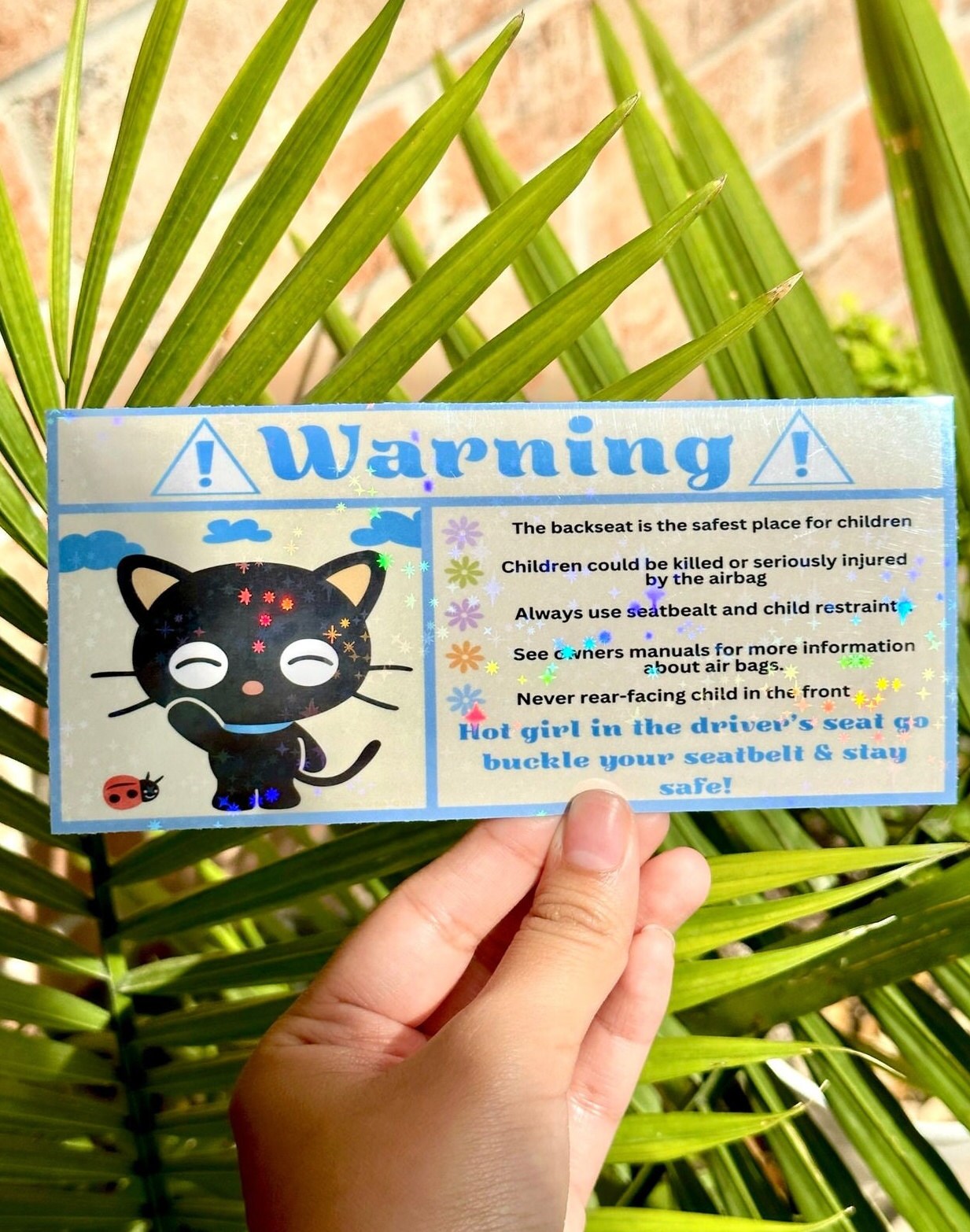 Hot Girls Can't Drive Car Sticker Choco Kat Cat Kitty HK Bunny Cute ...