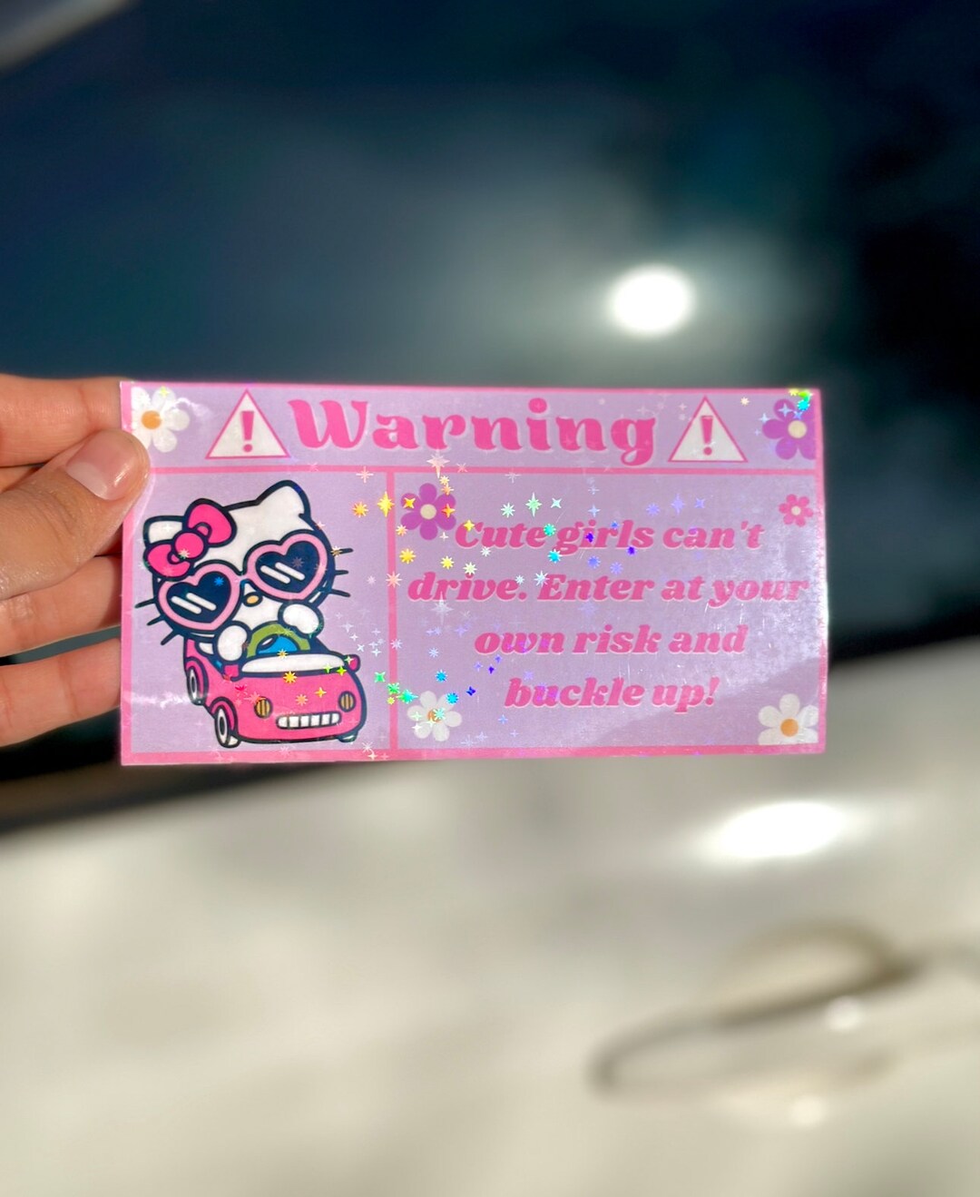 Hot Cute Girls Can't Drive Funny Kitty Cat Car Warning Sticker - Etsy